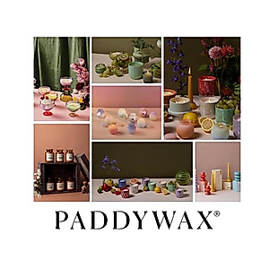 Paddywax Scented Relish Collection Soy Wax Artisan Candle in Glass Jar with Lid, 9.5-Ounce, Pomegranate + Spruce