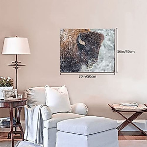 MOYMTEP American Bison Or Buffalo Resting in A Snow Storm Canvas Wall Art Gallery Artwork for Living Room Bedroom - Modern Home Decor Stretched and Framed Ready to Hang Pictures 16x20 Inches