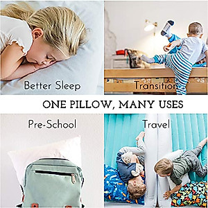 Toddler Pillow with Toddler Pillowcase - Soft Hypoallergenic - Best Pillow for Kids! Better Neck Support and Sleeping! Better Naps in Bed, a Crib, or at School! Makes Travel Comfier! (Alphabet Gray)