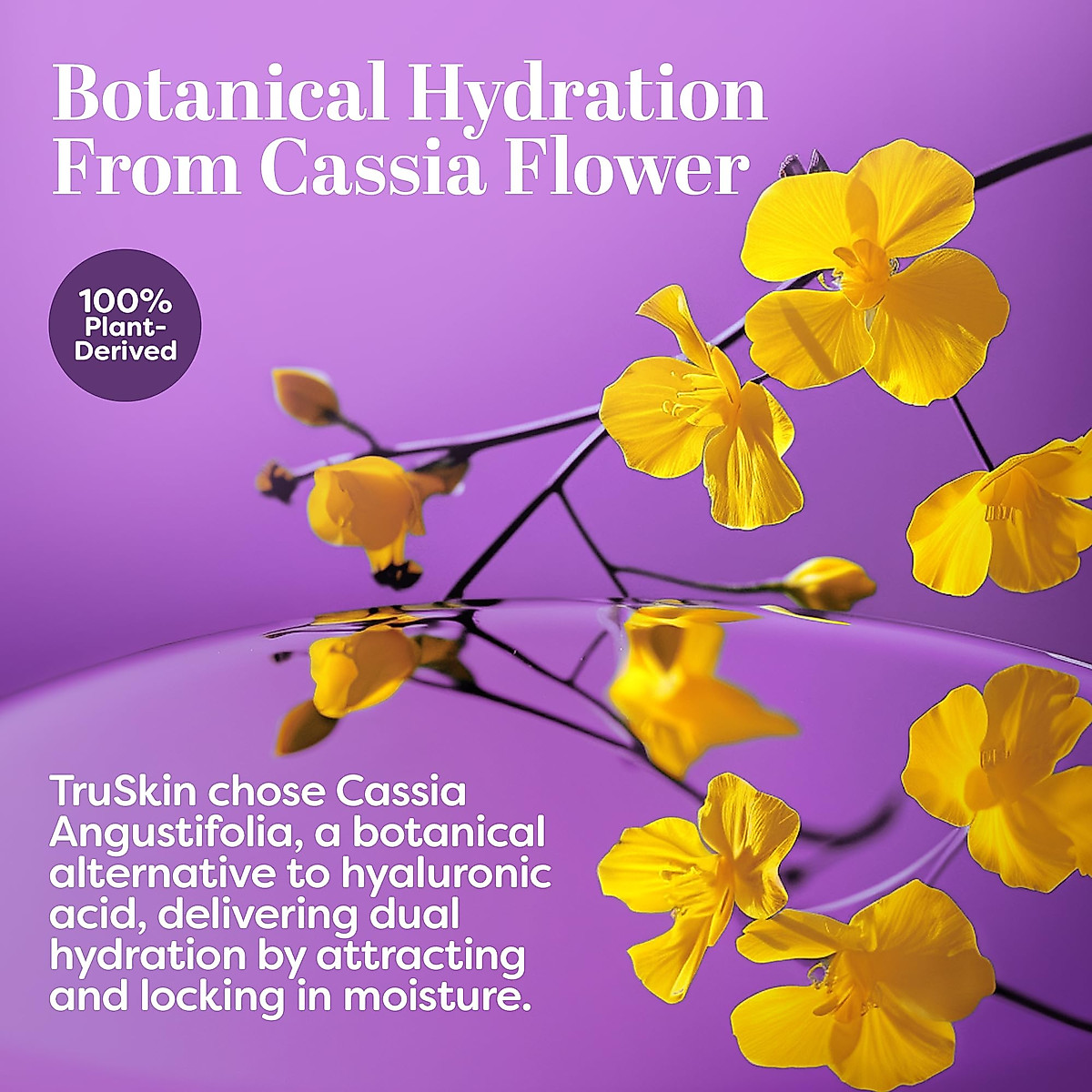 TruSkin (B3) Niacinamide Serum for Face – Minimize Appearance of Pores, Even Skin Tone, Hydrate & Soothe with Hyaluronic Acid, Vitamin E, Aloe & Avocado Oil,1 fl oz