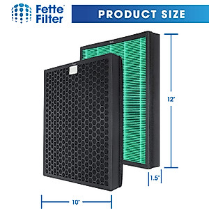 Fette Filter - Replacement True HEPA Air Purifier Filter Set Compatible with Coway Airmega MAX 2 300/300S Smart. Compare to Part # 3111635 - Pack of 2