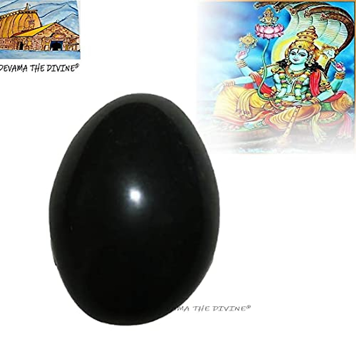 DEVAMA The Divine GANDAKI River Natural Black Stone Shaligram Shila for Pooja for Divine Blessings