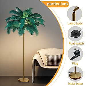 VORDERRY Natural Ostrich Feather Floor Lamp,Gold and Green Atmosphere Feather Lamp, Eye Protection Reading Lamp, Bedroom, Living Room Corner Decoration Lamp (Green)