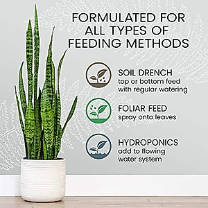 Purived Liquid Fertilizer for Indoor Plants | 20oz Concentrate | Makes 50 Gallons | All-Purpose Liquid Plant Food for Potted Houseplants | All-Natural | Groundwater Safe | Easy to Use | Made in USA