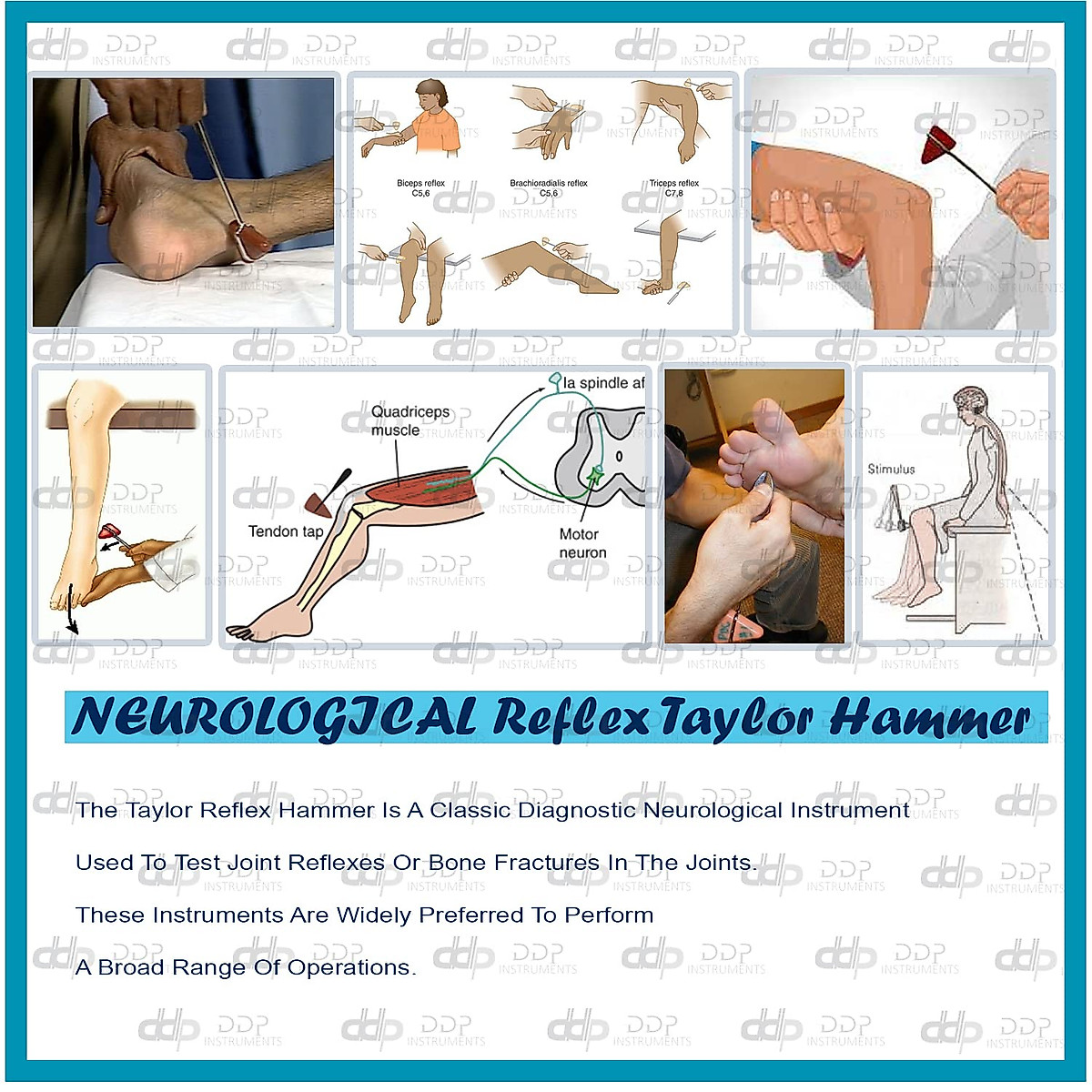 4 Pieces Taylor Percussion Reflex Hammer RED DDP