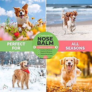 Dog Nose Balm - 100% Organic & Natural Nose Moisturizer and Healing Cream Butter - Dog Dry Nose Treatment and Moisturizer - Heals, Repairs & Protects Chapped, Damaged & Rough Noses