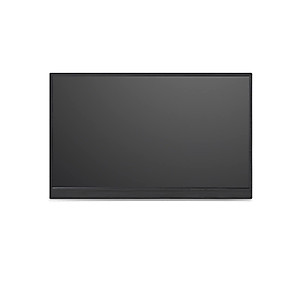DFZ Portable Monitor, 15.6in IPS 1920X1080 Computer Display,Display Game Console Computer for Laptop