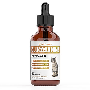 Glucosamine for Cats | Cat Glucosamine | Glucosamine for Cats Liquid | Cat Joint Supplement | Joint Supplement for Cats | Cat Joint Pain Relief | Joint Support for Cats | 1 fl oz: Chicken Flavor