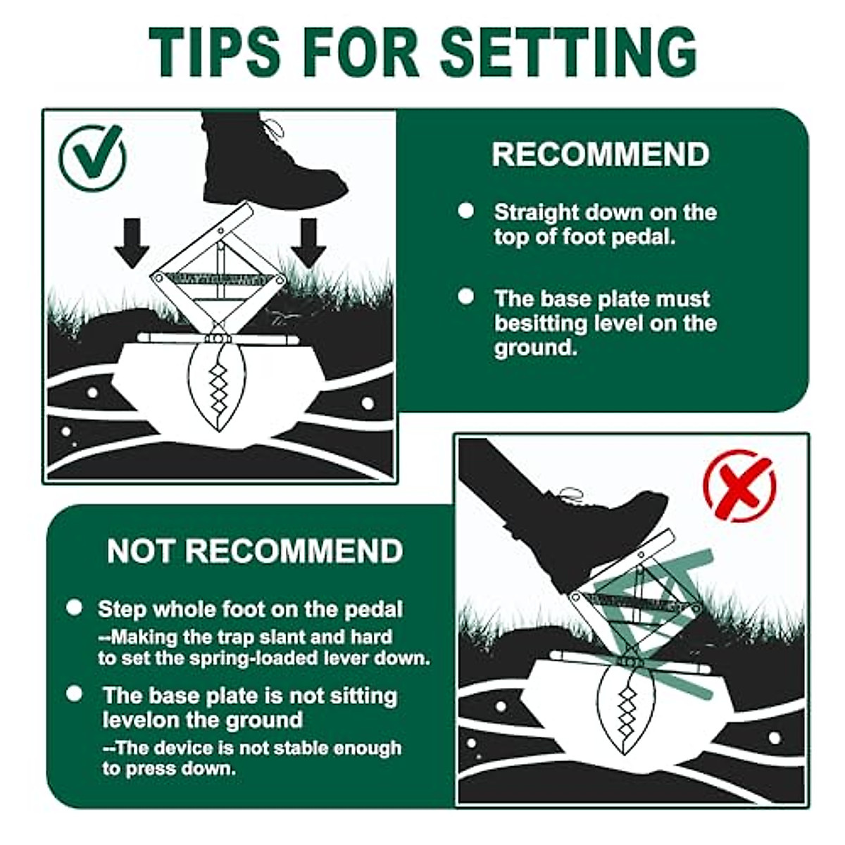 Mole Trap Scissor 2 Pack, Upgraded Mole Traps for Lawns That Kill Best, Galvanized Steel Mole Killer, Easy Step Setup