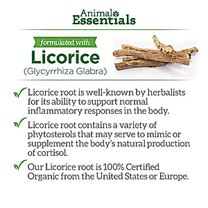 Animal Essentials Colon Rescue Herbal GI Support for Dogs & Cats, 2 fl oz - Made in USA Digestive Aid, Phytomucil Blend