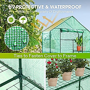 VIVOSUN 57 x 29 x 77-Inch Mini Walk-in Green House with Windows and Anchors, Plant Garden Hot House
