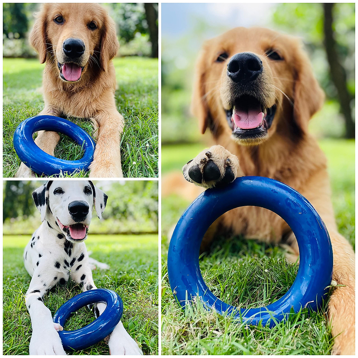 Tuff Pupper SuperChewy Tough Dog Ring Toy Strong Natural Rubber | Dog Chew Toy for Aggressive Chewers | Durable Tug Toy | Strong Dog Ring Toy | Large Breed Tested