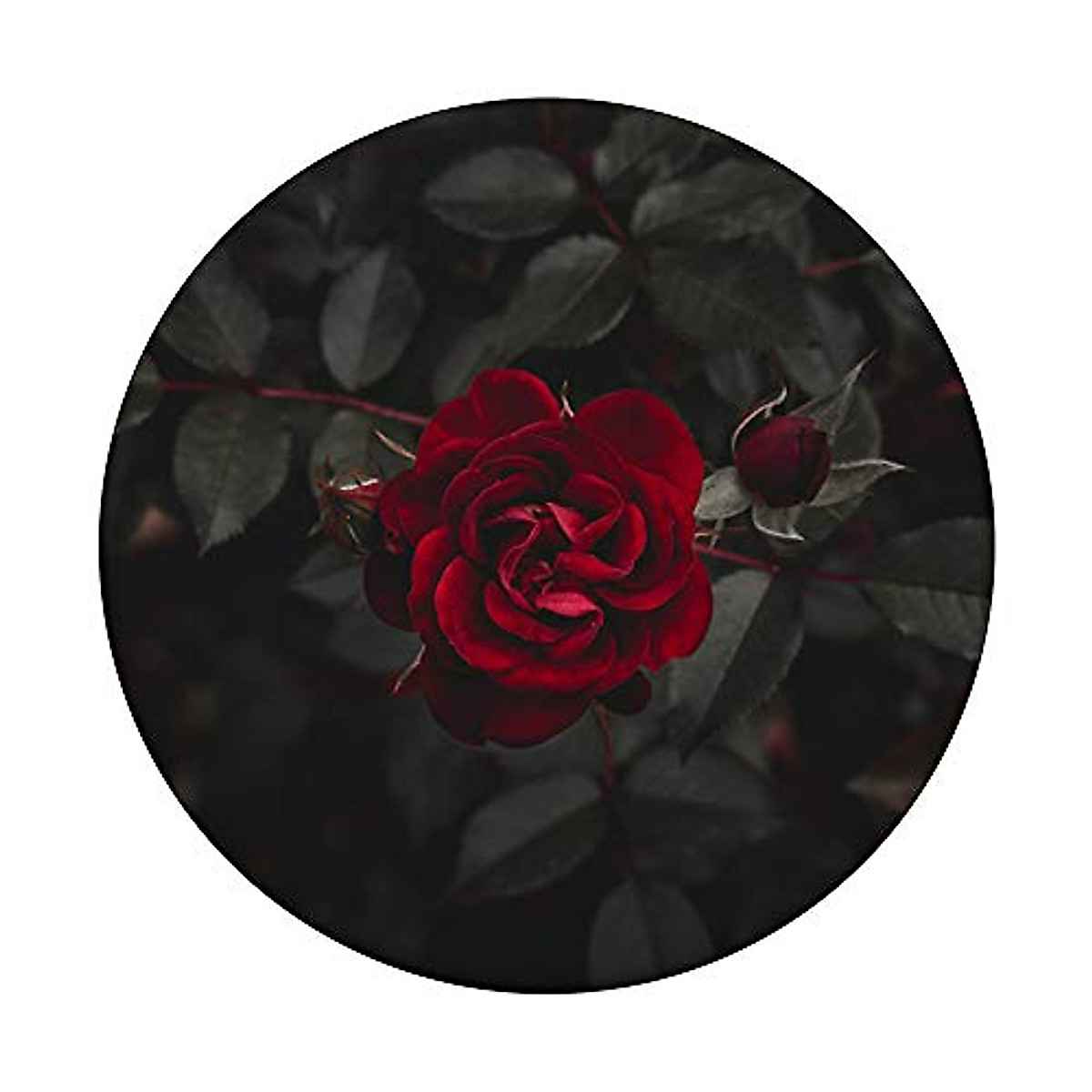 Red Rose PopSockets Swappable PopGrip