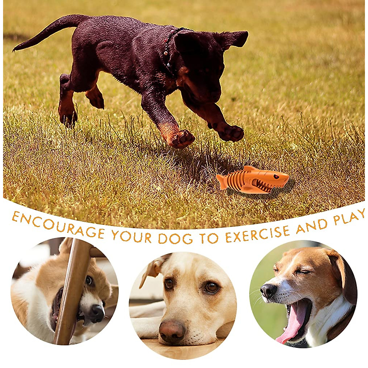 YYXTRADE Shark Chew Toy for Aggressive Chewers, Natural Rubber Dog Toys for Medium Large Breeds, Dental Care Teeth Cleaning, Indestructible Dog Toys