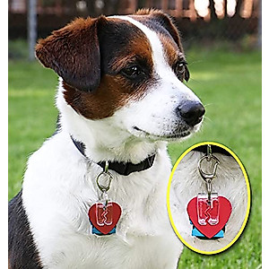 SilenTags Kwik Clip Tag Silencer and Tag Ring