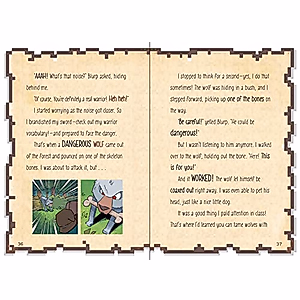 A Noob's Diary of an 8-Bit Warrior (Volume 1)