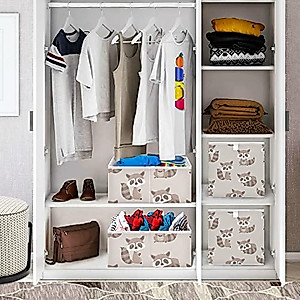 Cute Animals Raccoon Storage Baskets for Shelves Foldable Collapsible Storage Box Bins with Closet Organizers Cubes Decorative for Pantry Toys, Clothes, Books in Closet and Shelf,11 x 11inch