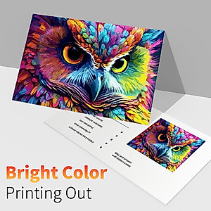 67XL LemeroUtrust Remanufactured Ink Cartridge Replacement for HP 67 XXL 67XL use with HP DeskJet 2755 2722 2724 2725 Plus 4155 4152 4140 Envy Pro 6455 6475 Envy 6055 6052 (Black Tri-Color, 2-Pack)