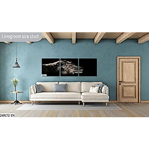 Lion (Panthera leo) - Print/Canvas/Acrylic/Metal (Print Only, 11x14 Inches)