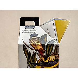 Flying Colors Premium Organic Wild Bird Seed | Black Oil Sunflower Seed | USDA Organic Ingredients | Best Seed for Backyard Bird Feeders | 3 Gallon Easy-Pour Carton