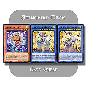 Yu-Gi-Oh! - Complete Shinobird Ritual Spirit Deck