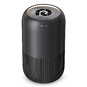 HEPA Air Purifiers for Bedroom- Dreamegg Quiet Air Purifiers for Pets Allergy Dander Odor for Small Room, Activated Carbon Filter for Pet Smell, Room Pet Air Cleaners Removes 99.97% Pollen Smoke Dust Mold