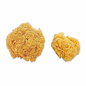 Natural Sea & Synthetic Sponges - Assorted Sizes 7pc Value Pack for Crafts & Artists: Great for Painting, Hobbies, Art, Effects, Ceramics, Clay, Pottery by Lullingworth®