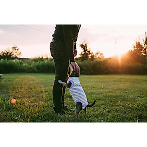 Wabdhally Dog Surgery Recovery Suit,Surgical Recovery Female Spay Suit for Small Dogs Cats,Surgery Recovery Multi Purple Onesie XS