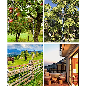 Bird Scare Rods, Anti-Collision Bird Reflective Strip Hanging Decor Device to Deterrent Prevent Woodpecker Owl Strikes, 6 Pcs