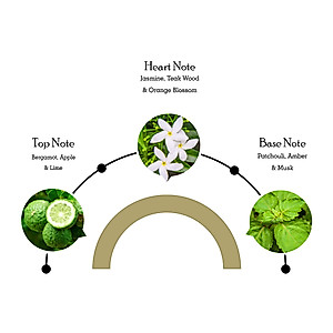 Jaguar Classic Gold Eau de Toilette Spray for Men, 3.4 Ounce