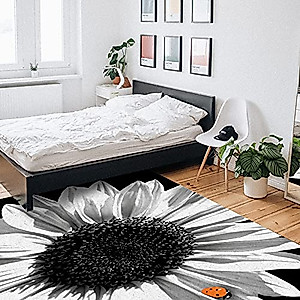 Aomike Indoor Area Rug Doormat- Sunflower in Black and White Ladybug and Flower Contemporary Rug for Living Room/Bedroom/Front Porch/Hallway/Farmhouse, 2'7"x5'