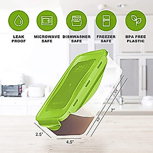 By Caleb Company 3 Pack Green Bento Boxes - 39 Ounce Divided Food Storage Containers With Lids - Leakproof, BPA Free Bento Lunch Box for Adults & Kids Lunches Is Safe For Dishwasher & Microwave