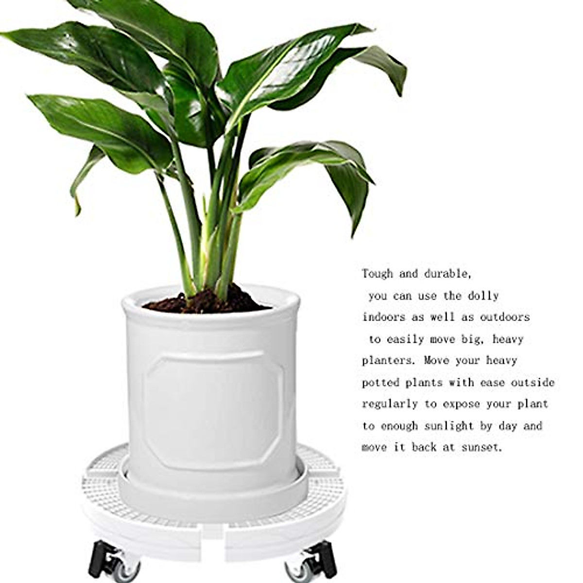 Adjustable Plant Stand (15-20’’) with Wheels Large Potted Planter Plant Stand on Wheels Pound Heavy Duty Plant Dolly Movable Plant Caddy Adjustable Rolling Tray Coaster…