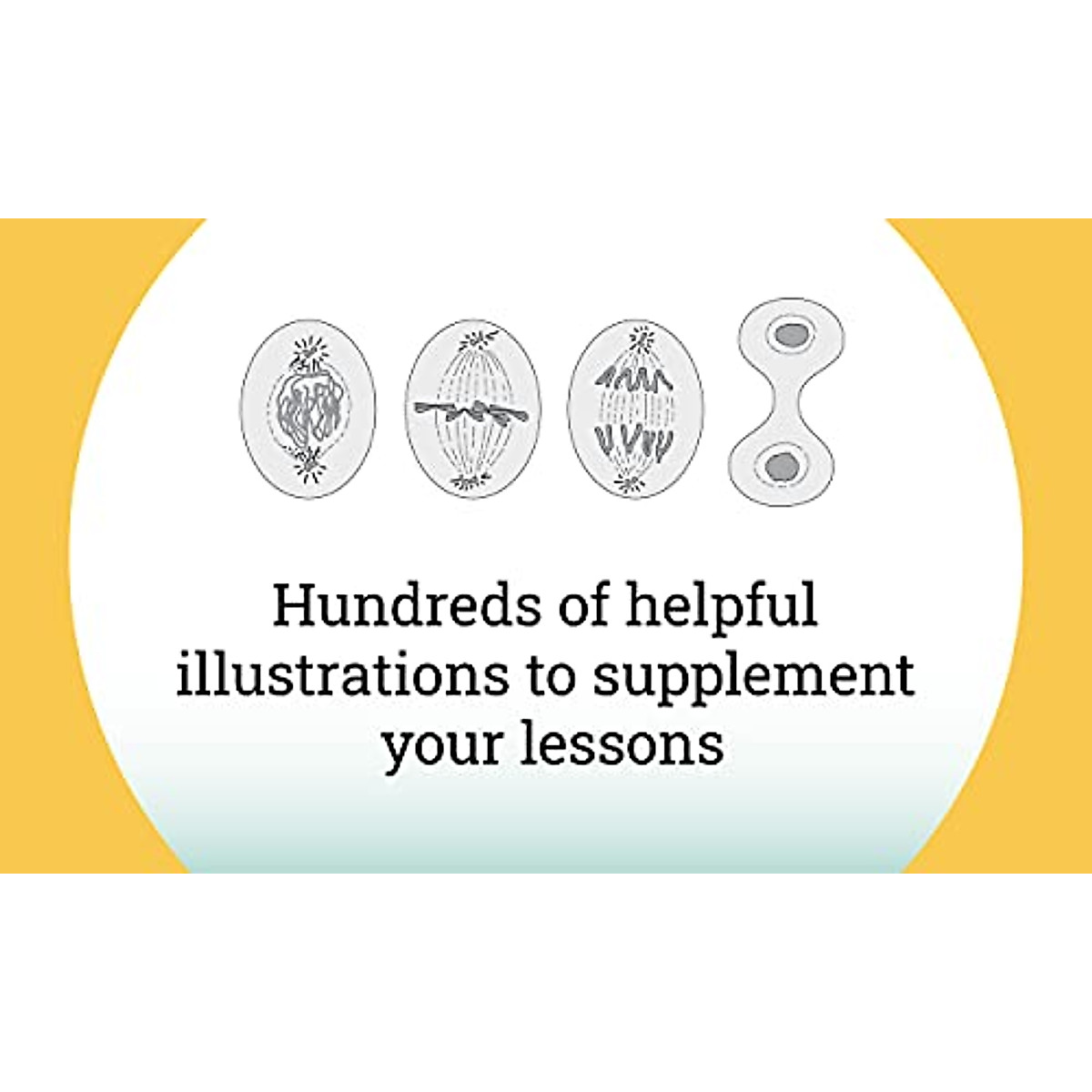 Barron's Science 360: A Complete Study Guide to Biology with Online Practice (Barron's Test Prep)