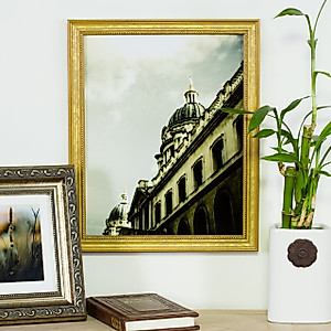 Craig Frames 314GD 16 x 20 Inch Ornate Gold Picture Frame Matted to Display a 11 x 14 Inch Photo