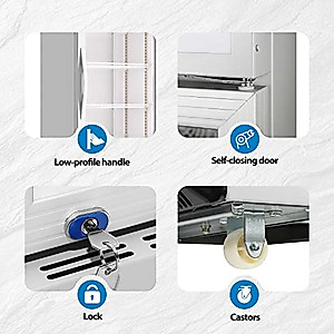 KICHKING 10.9 Cu.ft Merchandiser Refrigerator, 35~46℉, 23.6" W Glass Door Upright Display Refrigerator, Light Box Beverage Cooler, LED Lighting, Drink Fridge-Silver, for Restaurant Grocery Stores