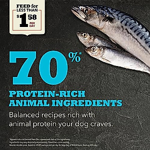 ACANA® Highest Protein, Wild Atlantic, Grain Free Dry Dog Food, 25lb