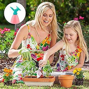 AUEAR, Plastic Bottle Watering Dual Head Spout Bottle Cap Sprinkler Plant Bonsai Bottle Cap Sprinkler for Indoor Seedlings Plant Garden Tool (3 Pack)