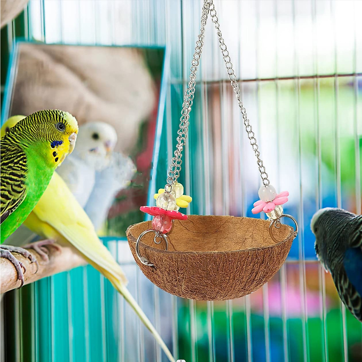 LOGOFUN Natural Coconut Shell Bird Nest Parakeet Nesting Box Parrot Bird Coconut Hut Hanging Bed Cage Swing Toys for Budgie Cockatiel Lovebird