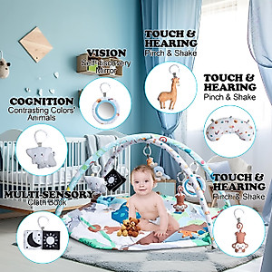 WDSMNAERW Baby Gym Play Mat & Activity Center, 8 in 1 Baby Play Gym & Ball Pit, Tummy Time Mat Toys 0-3-6-12 Months