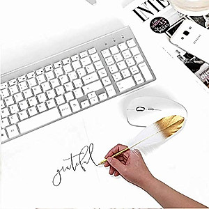 Cheerland Feather Signature Pens Ballpoint Pen for Party Reception Wedding Party Guest Book Ceremony Bridal Baby Shower Anniversary Graduation Event Party Favors (Gold/White)