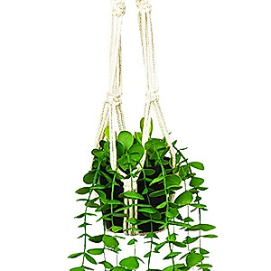 Artflower Artificial Hanging Eucalyptus Plants in Pots 2 Pack Fake Plastic Greenery Vines with Hanging Baskets for Home Shelve Indoor Outdoor Wall Wedding Garden Home Office Garland Decor