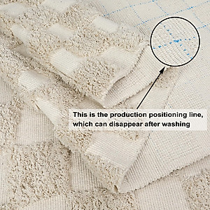 Lanffia Boho Checkered Tufted Rug - 3x5 Area Rug Beige Hallway Rug Washable with Tassels Indoor Farmhouse Floor Carpet for Kitchen Bathroom Laundry Doorway Bedroom Living Room