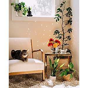 Havenstone Home Hanging Disco Ball Planter 6" with Flat Base - Includes Self-Watering Insert + White Cotton Macrame Plant Hanger- Indoor/Outdoor Plants, Home Décor & Room Décor with Cotton Rope