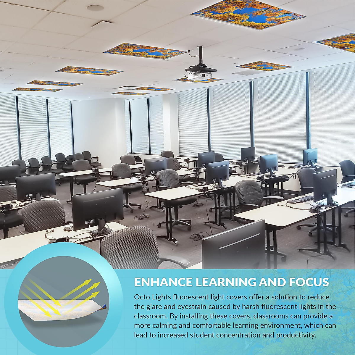 Octo Lights Fluorescent Light Covers for Ceiling Lights Classroom 2x4 (22.38in X 46.5in) Improve Focus, Eliminate Headaches, Provide Florescent Light Relief - Tree 010