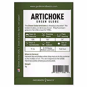 Artichoke Seeds for Planting - Green Globe Non-GMO Perennial Vegetable Variety- 3 Grams Seeds Great for Summer Gardens by Gardeners Basics