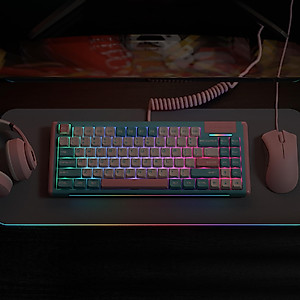 DUSTSILVER D84 Wireless 75% Cute Mechanical Keyboard with RGB, Hot Swappable, Bluetooth/2.4G/Type-C Connection, Gateron Red Switches for Smooth Typing