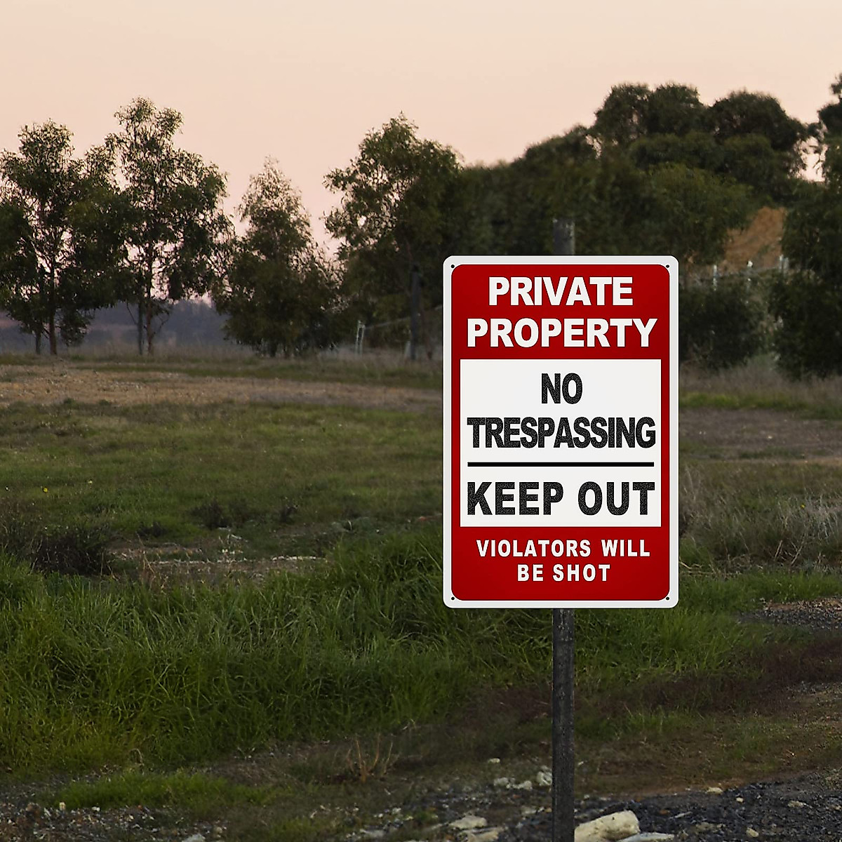 HANTAJANSS Retro Vintage Security Sign - 2 Pack No Trespassing Metal Yard Guard with Pre-Drilled Holes - Durable 12x12-Inch Sign for Home, Farm & Man Cave