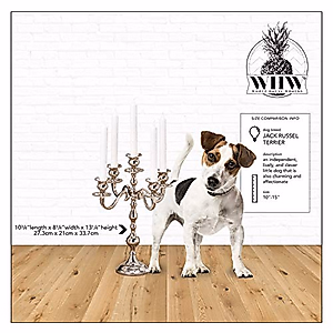WHW Whole House Worlds Hamptons Five Arm Silver Candelabra, Hand Crafted of Silver Aluminum Nickel, Over 1 Ft Tall (13.75 Inches) from The Hotel Resort Collection