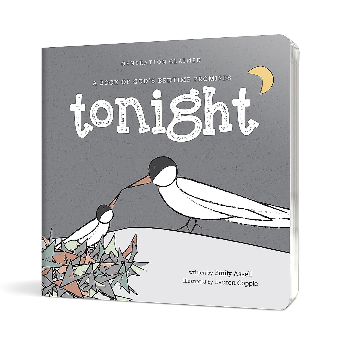 Tonight: A Book of God’s Bedtime Promises (Generation Claimed)